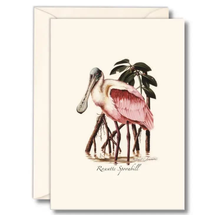 Roseate Spoonbill - Radish Roots Needlepoint